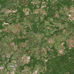 ArcGIS Web Application